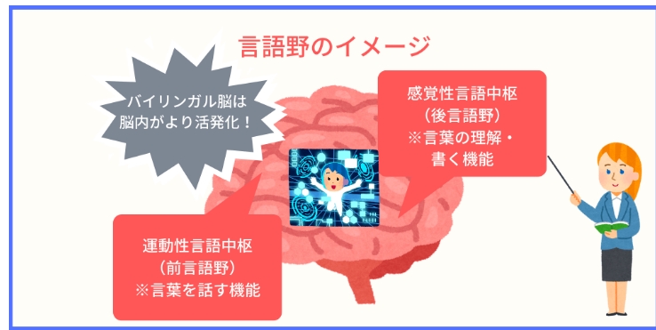 Kazu Languages（カズランゲージ）とは何者？本名や年齢、身長などのwikiプロフィール！学歴、彼女、インスタについて徹底調査！海外 ...